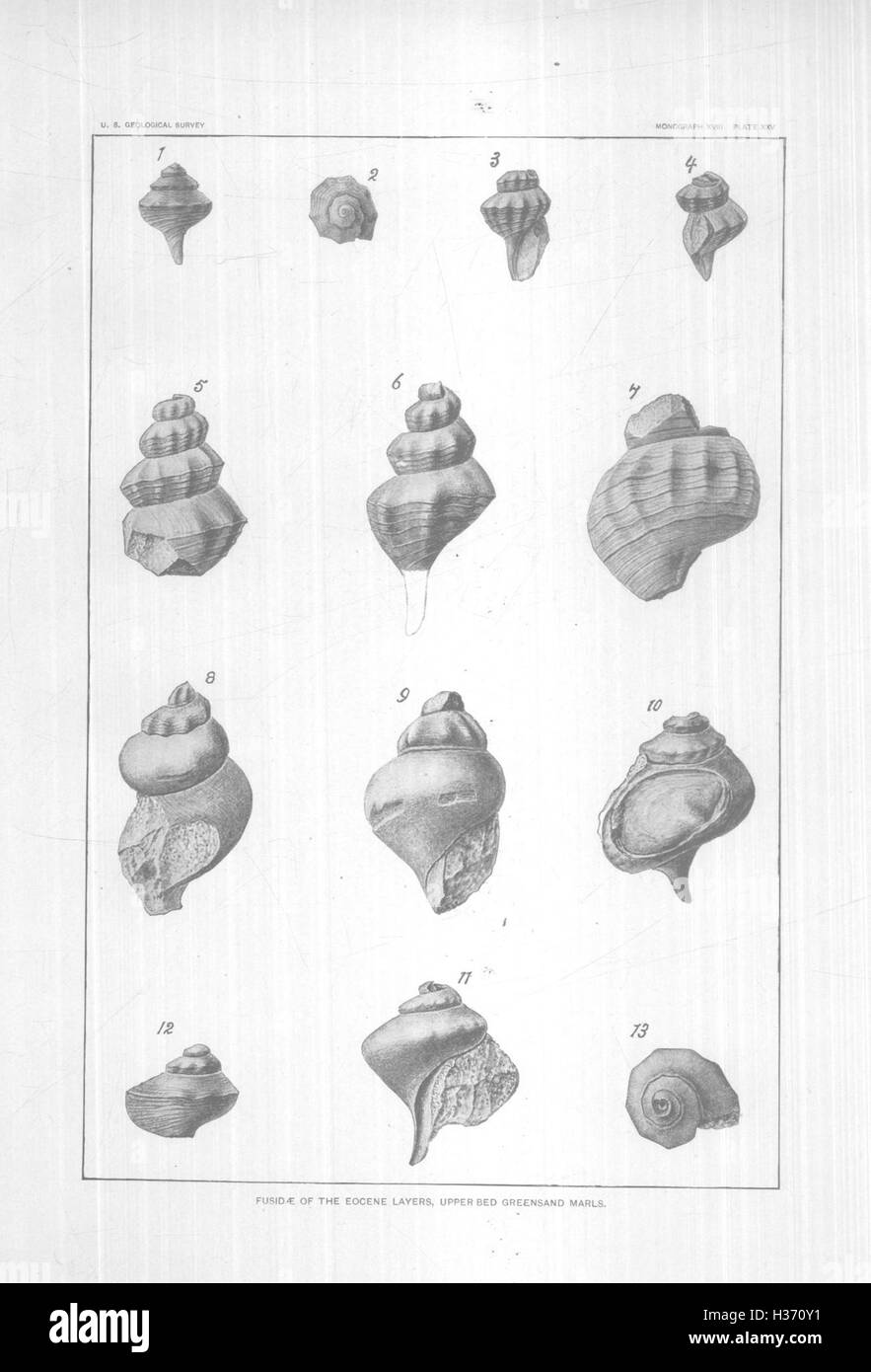 Raritan Black and White Stock Photos & Images - Alamy