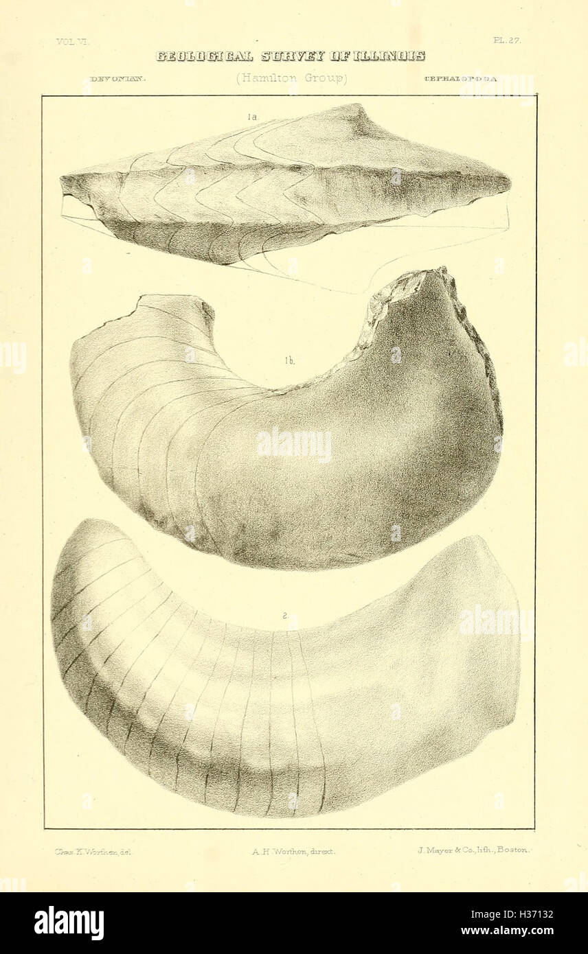 This survey provides an in-depth geological analysis of Illinois ...