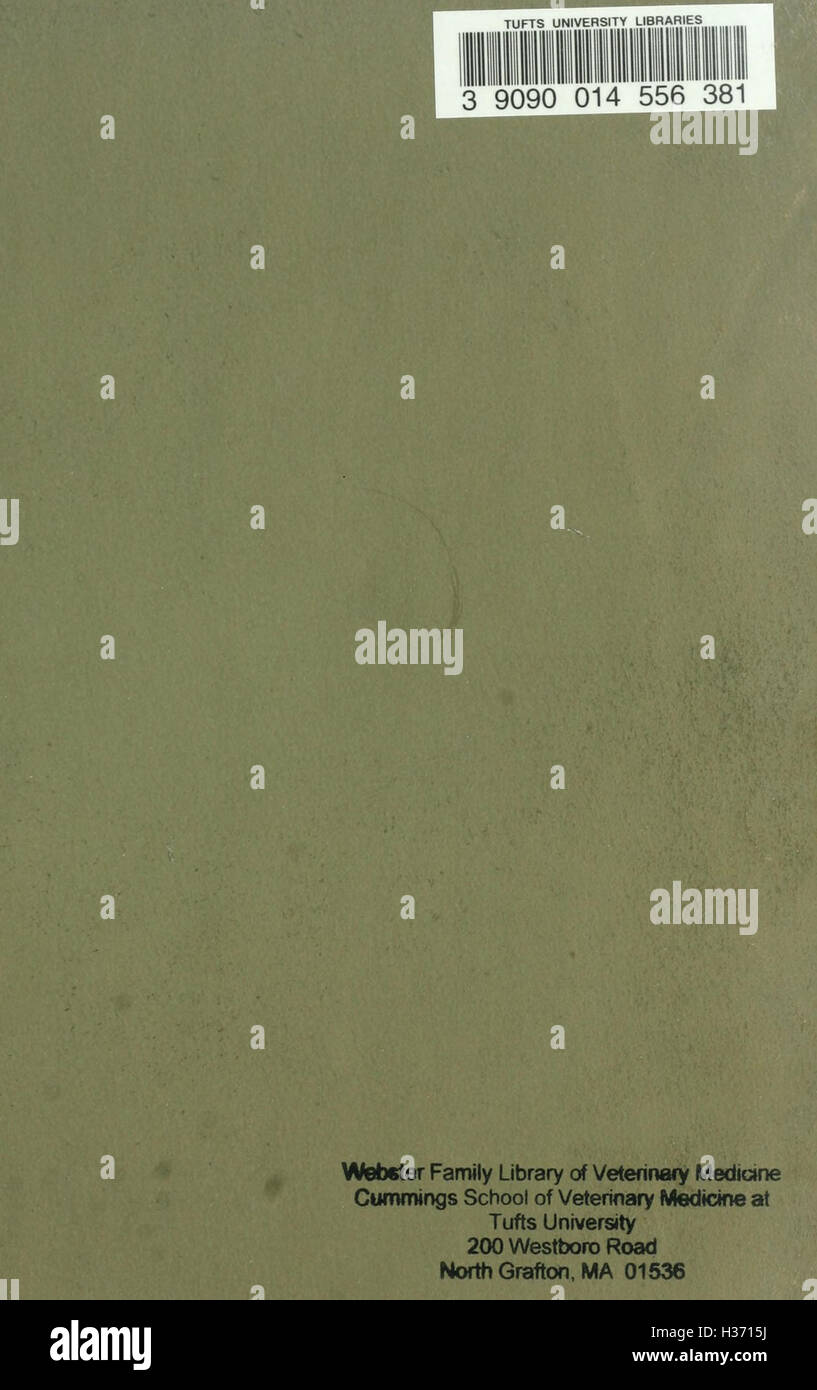 A study on the use of the American four-in-hand carriage in Britain ...