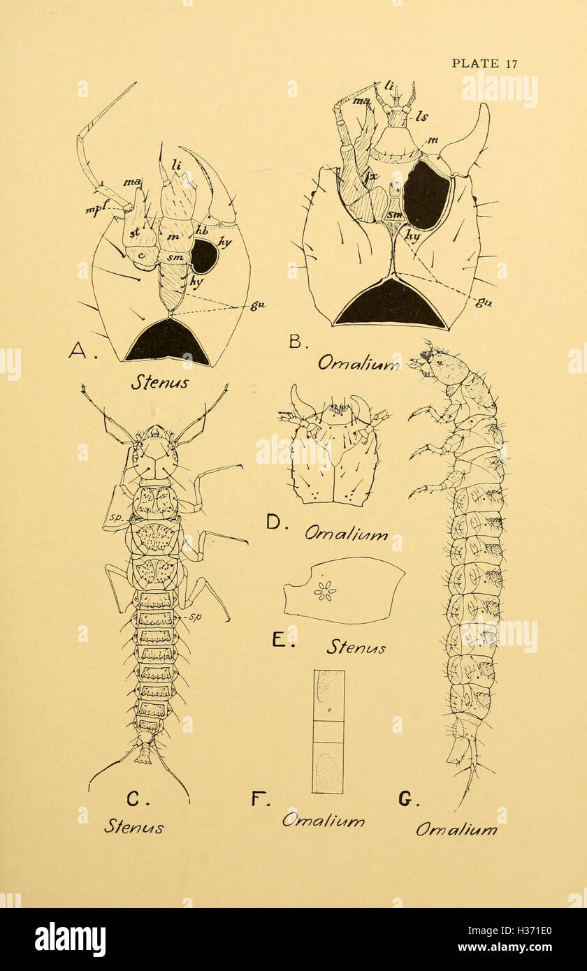 This illustrated synopsis provides a comprehensive guide to the ...