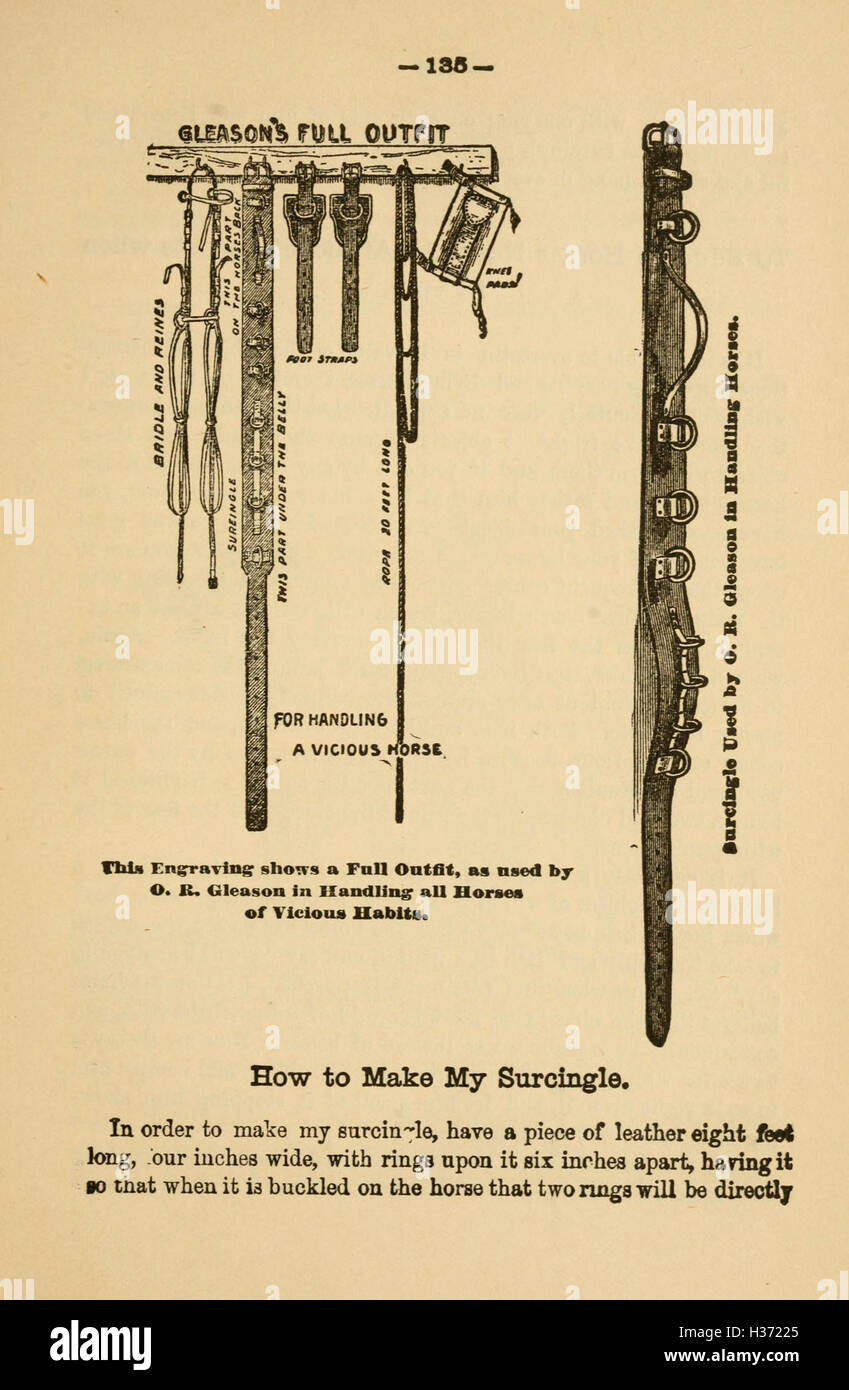 Gleason's horse book is a guide on horse care, training, and management ...