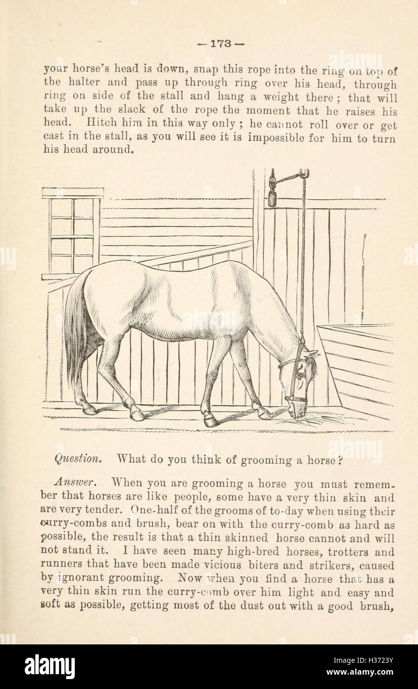 This book provides an extensive guide on horse care, training, and ...