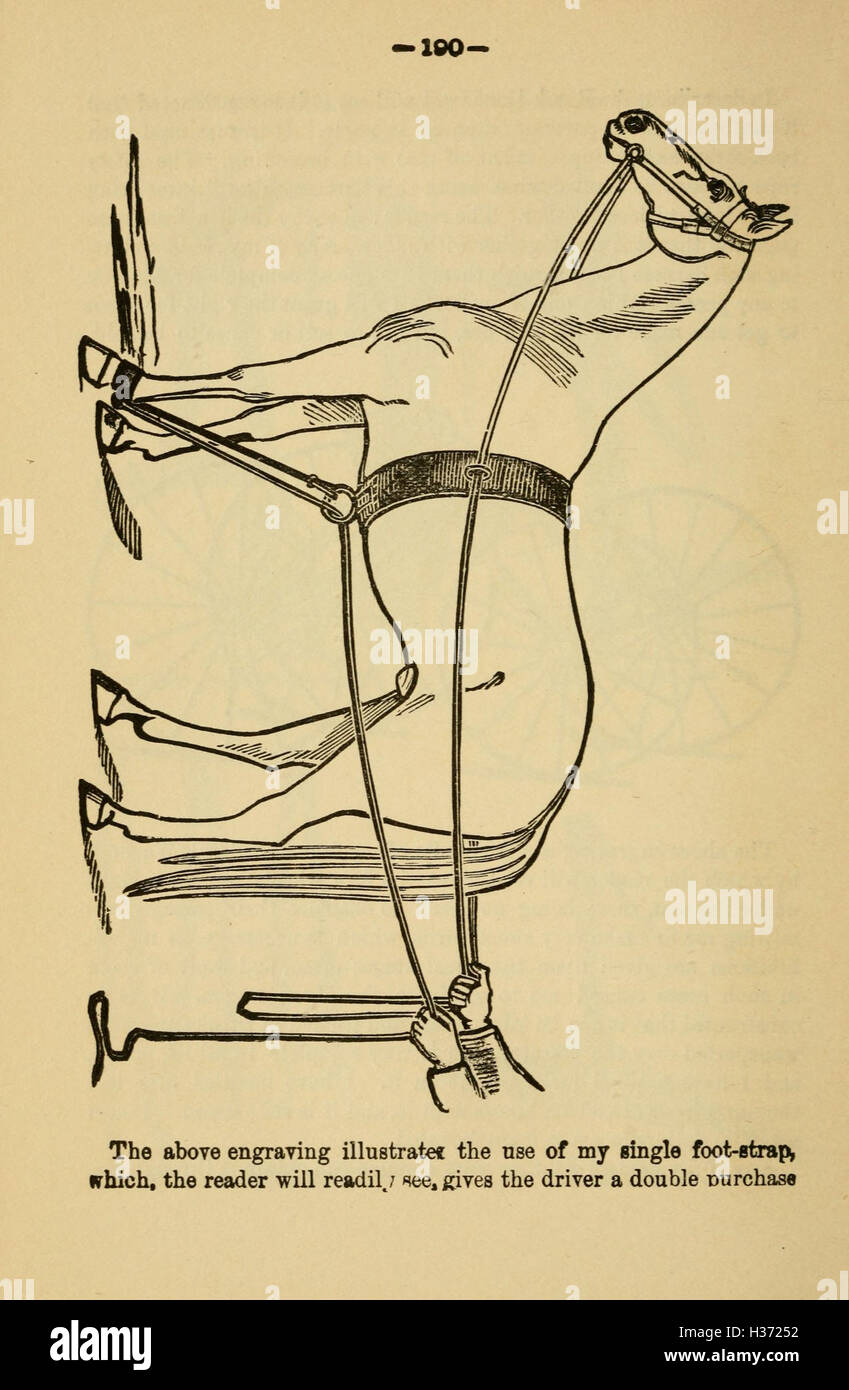 Book illustration 190 hi-res stock photography and images - Alamy