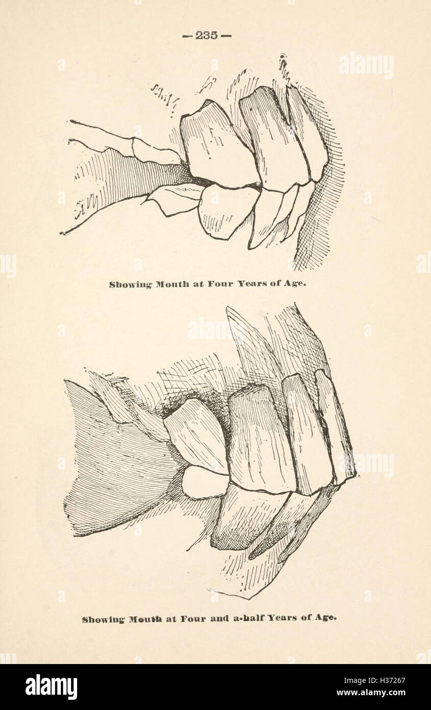 235 pages hi-res stock photography and images - Alamy