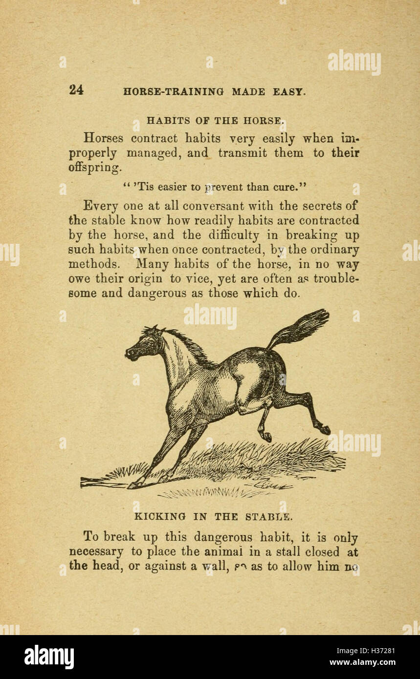 Illustrated guide on horse hi-res stock photography and images - Alamy