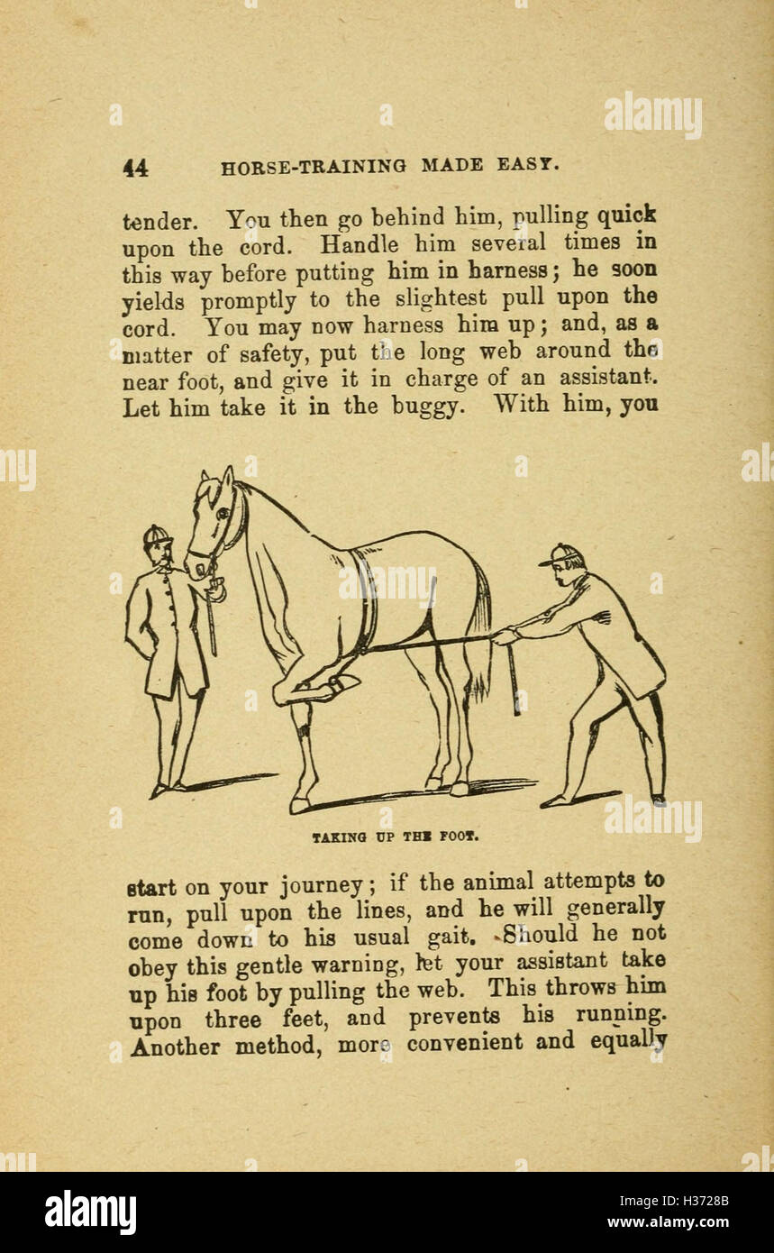 This guide simplifies horse training techniques, featuring clear ...