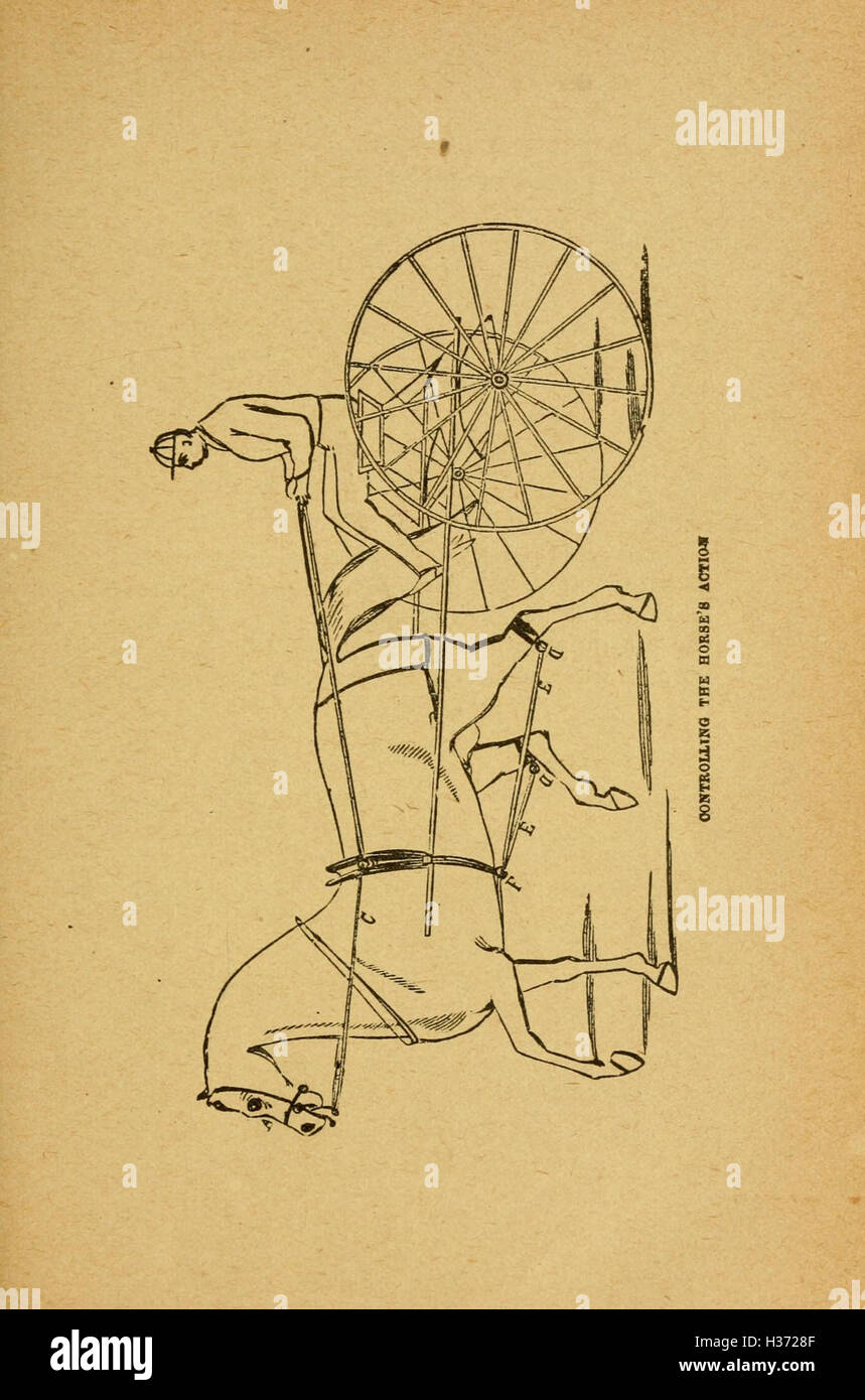 This book simplifies the process of horse training, using clear ...