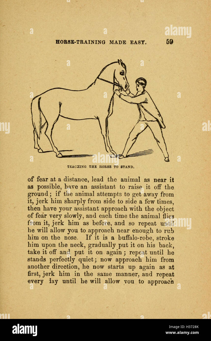 Gleason's practical guide to horse training provides step-by-step ...