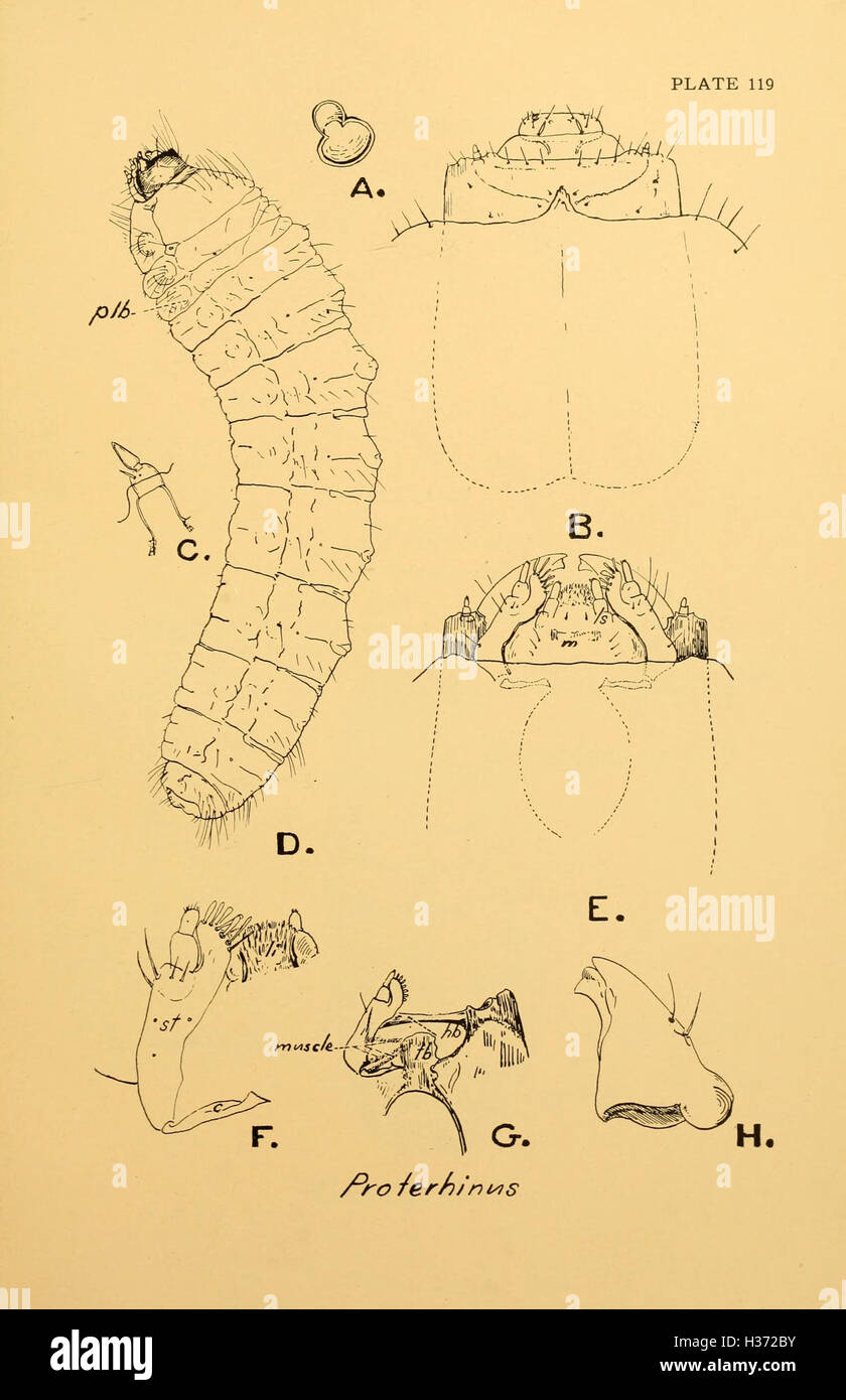 This illustrated synopsis provides detailed depictions of the main ...