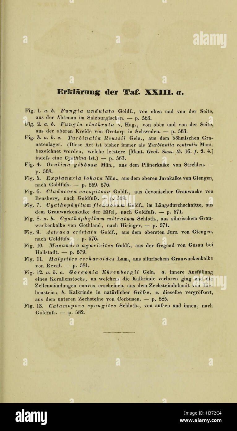 This text discusses the principles of fossil classification and ...