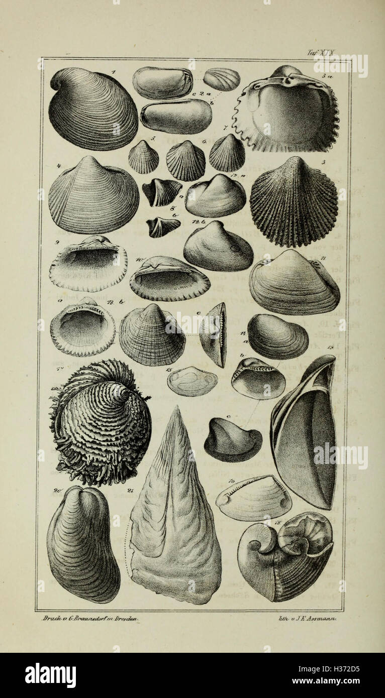 This work provides a comprehensive outline of fossil science, detailing ...