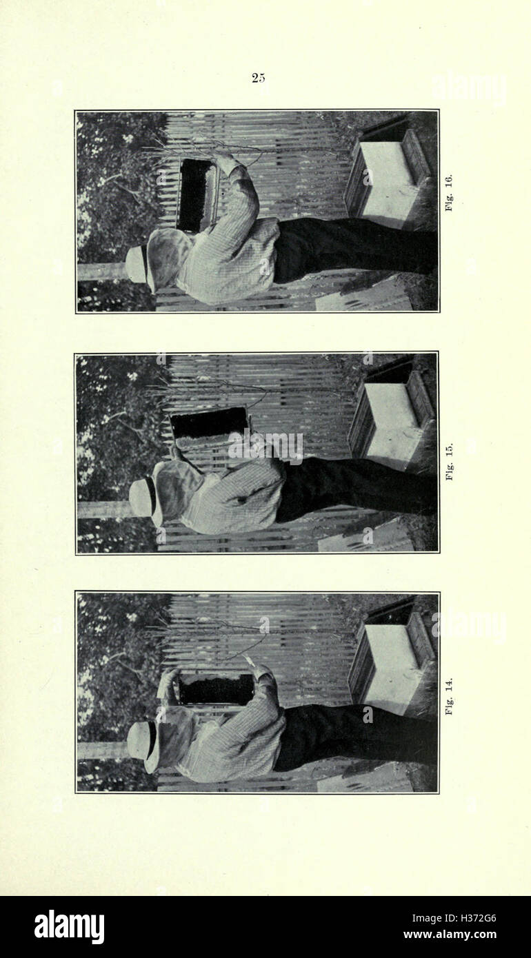 This guide to bee-keeping in British Columbia offers practical advice ...