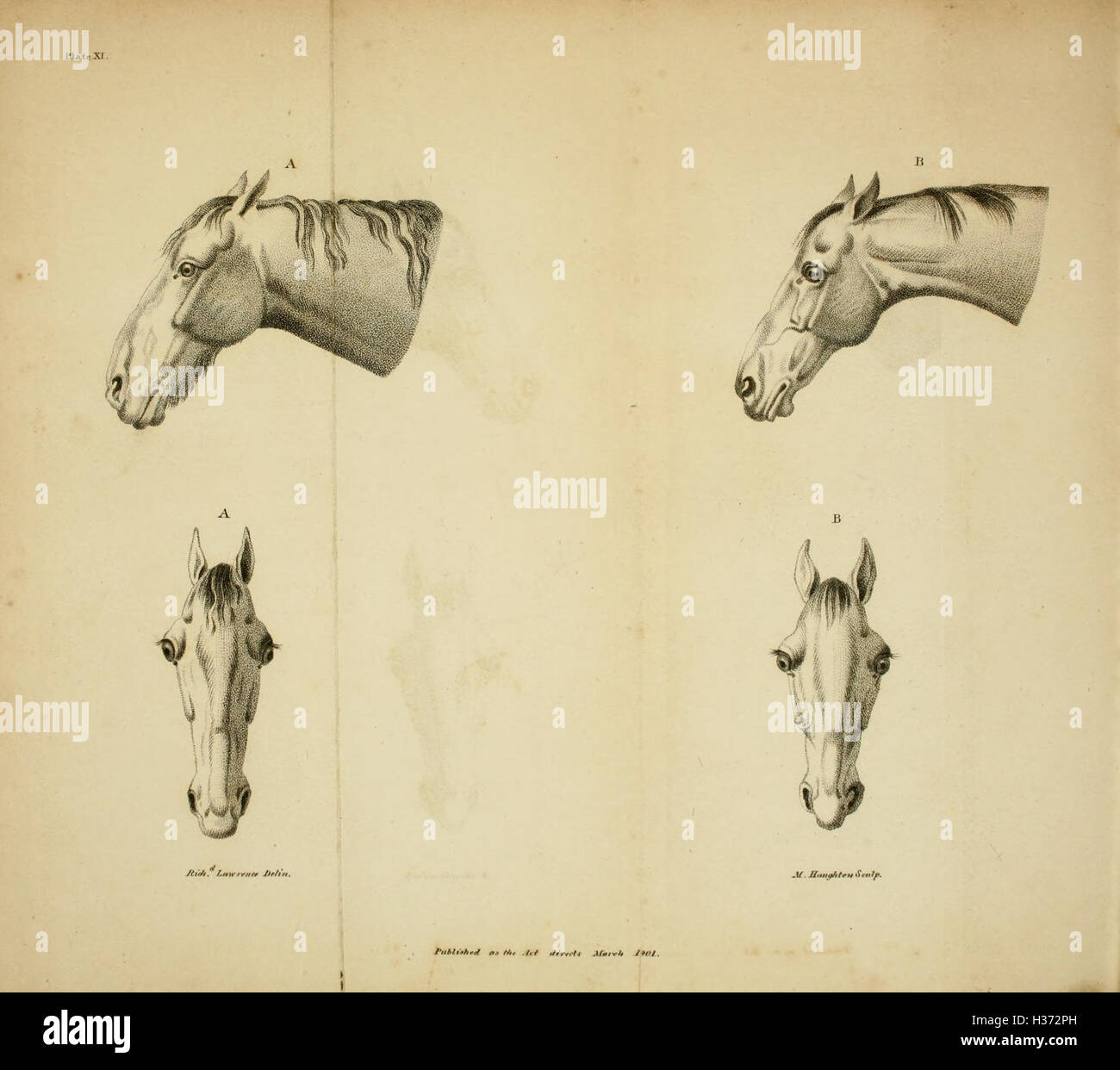 This study investigates the physical structure and physiological ...