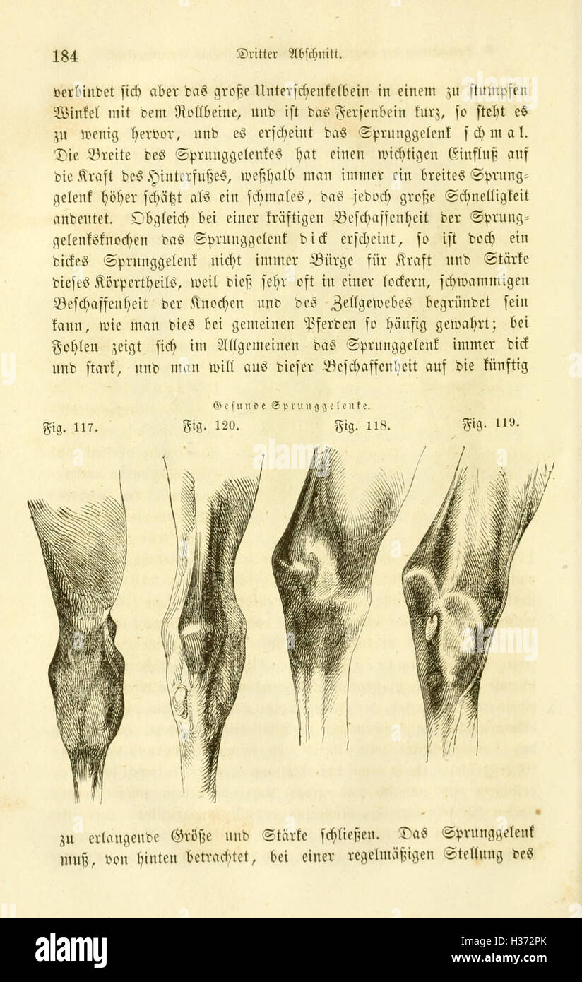 This manual focuses on agricultural animal science and breeding ...