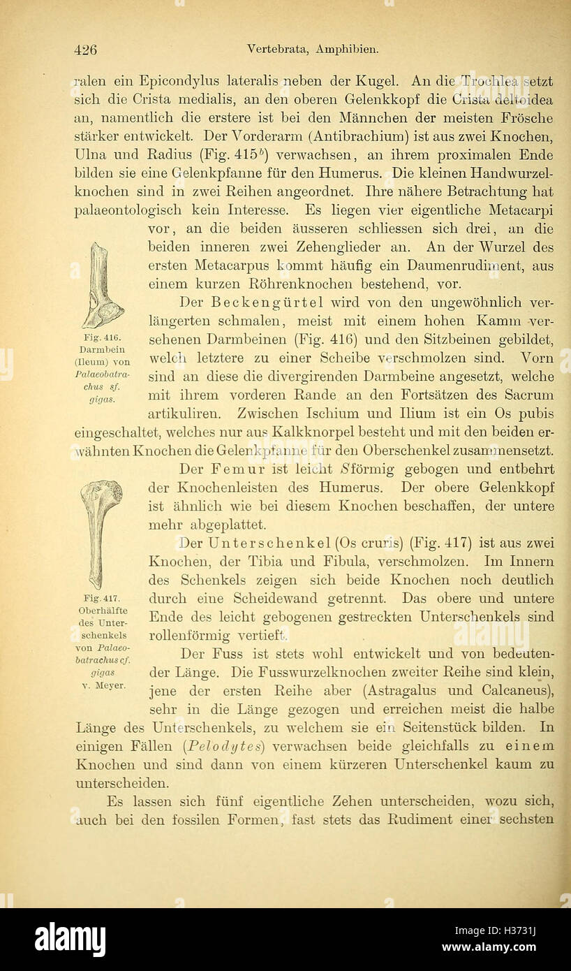 A German reference book on paleontology, detailing methods, theories ...
