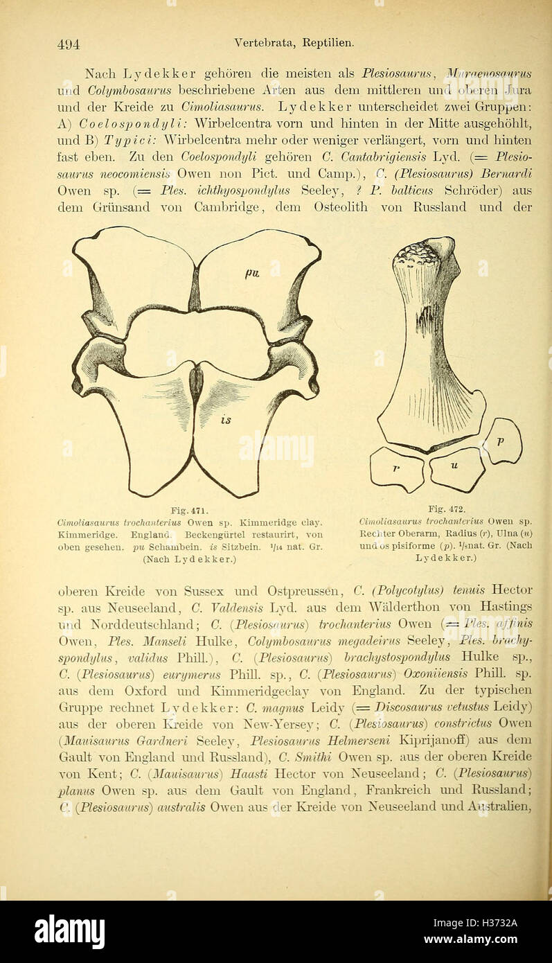 This Handbook Provides A Comprehensive Guide To Paleontology Covering