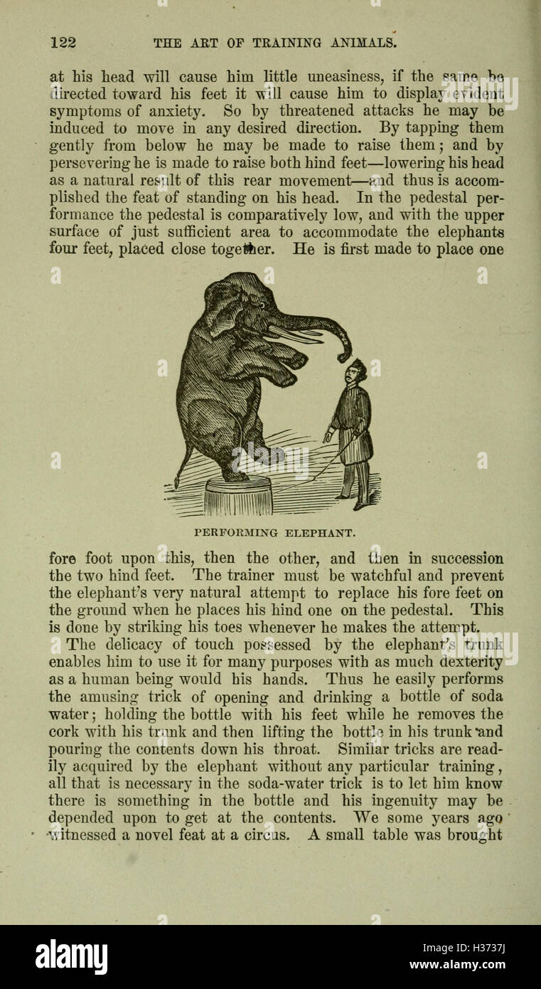This guide focuses on the techniques for training various animals ...