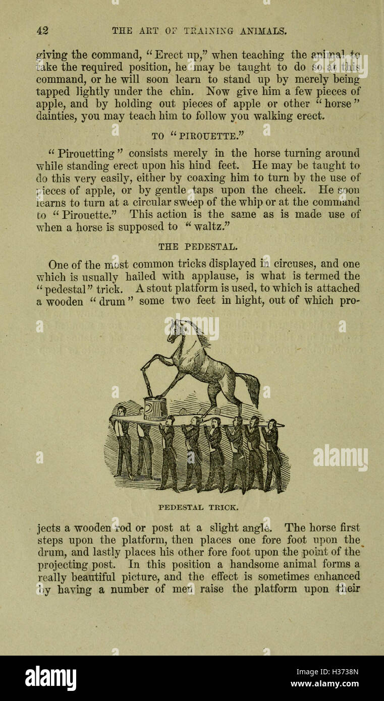 A guide to training animals, focusing on effective techniques for ...