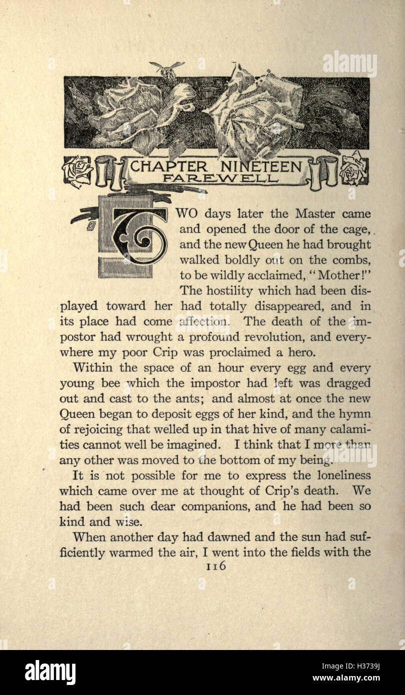 116 pages hi-res stock photography and images - Alamy