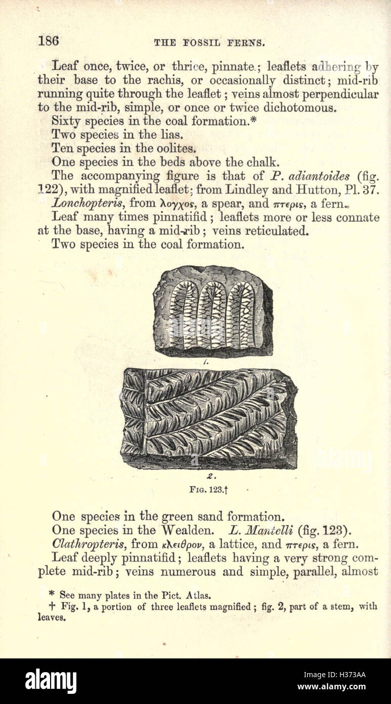 This introductory text on geology provides a foundation in the study of ...