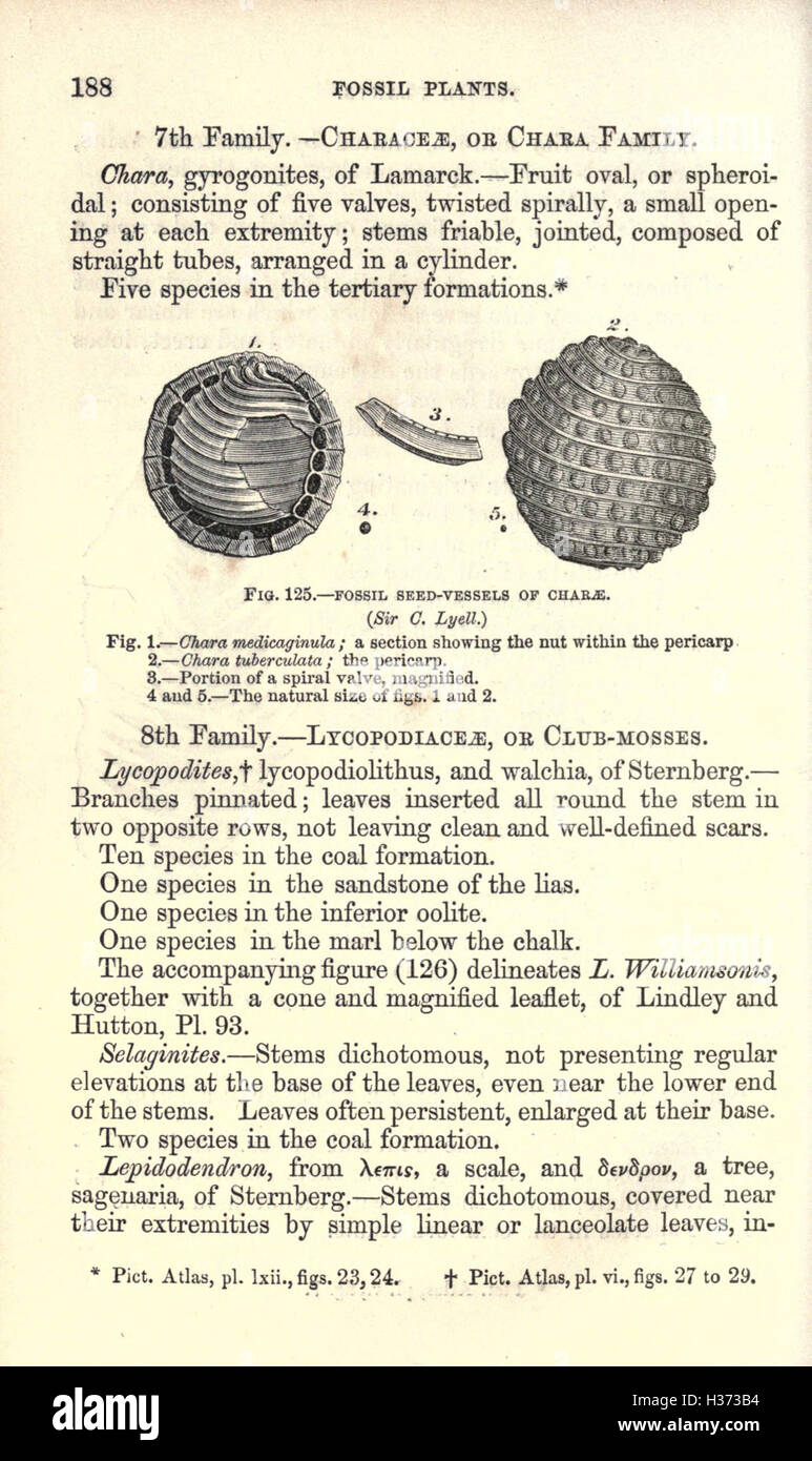 This work offers a comprehensive overview of geology, including the ...