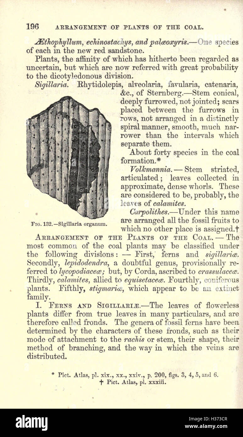 The internal structure of the earth hi-res stock photography and images ...