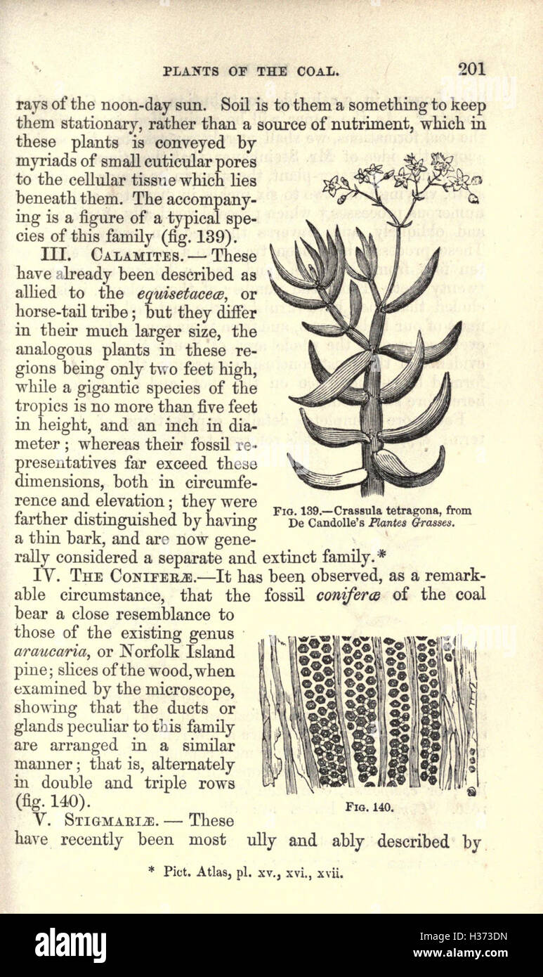 'An Introduction to Geology' offers foundational knowledge on ...