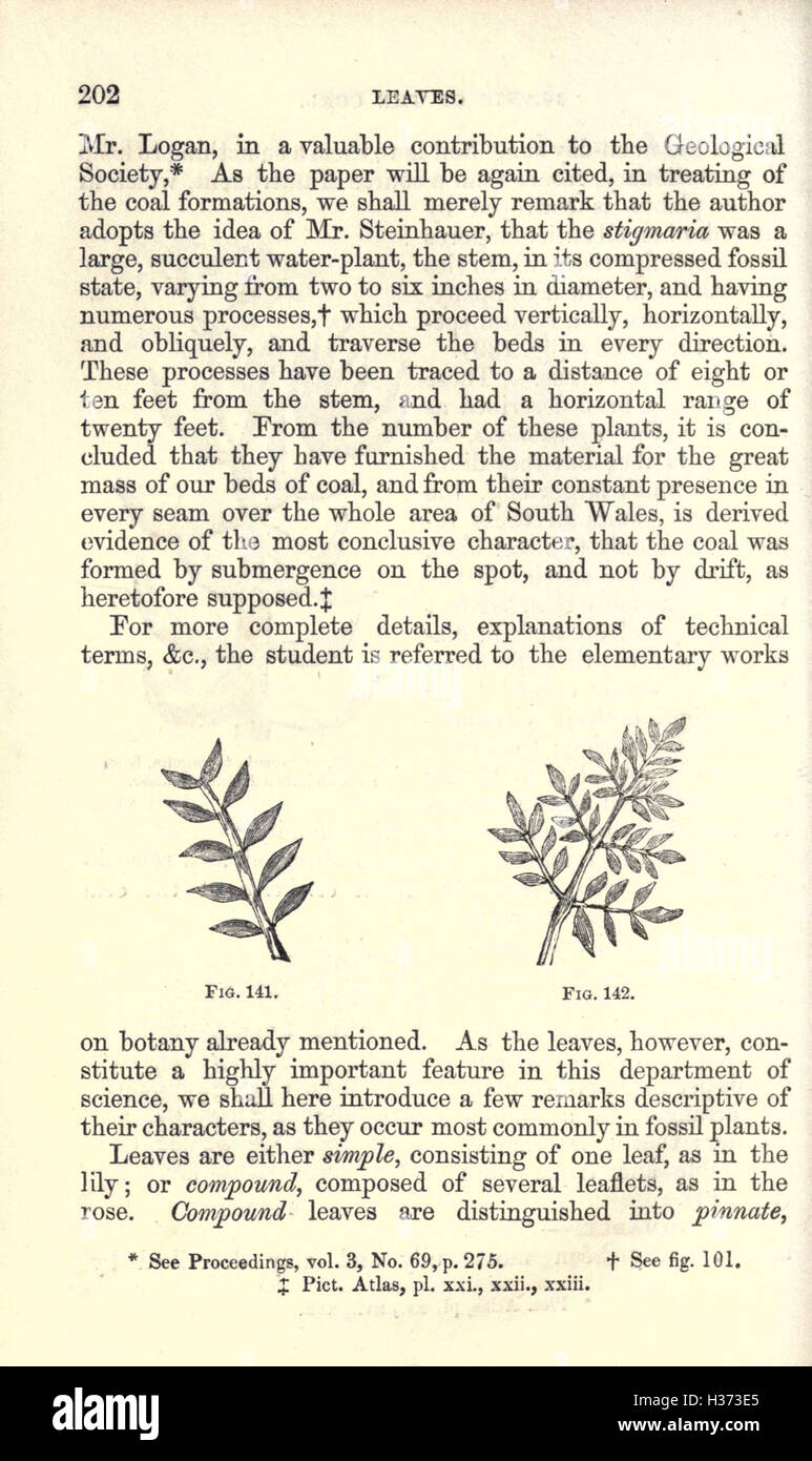 This introductory work covers the basic principles of geology ...