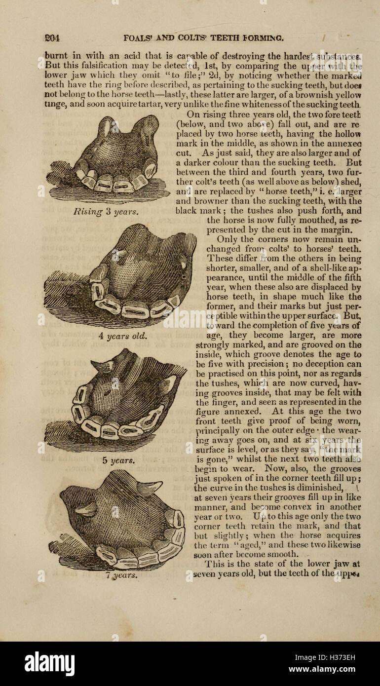 A comprehensive guide on farriery and horse breeding, detailing the ...