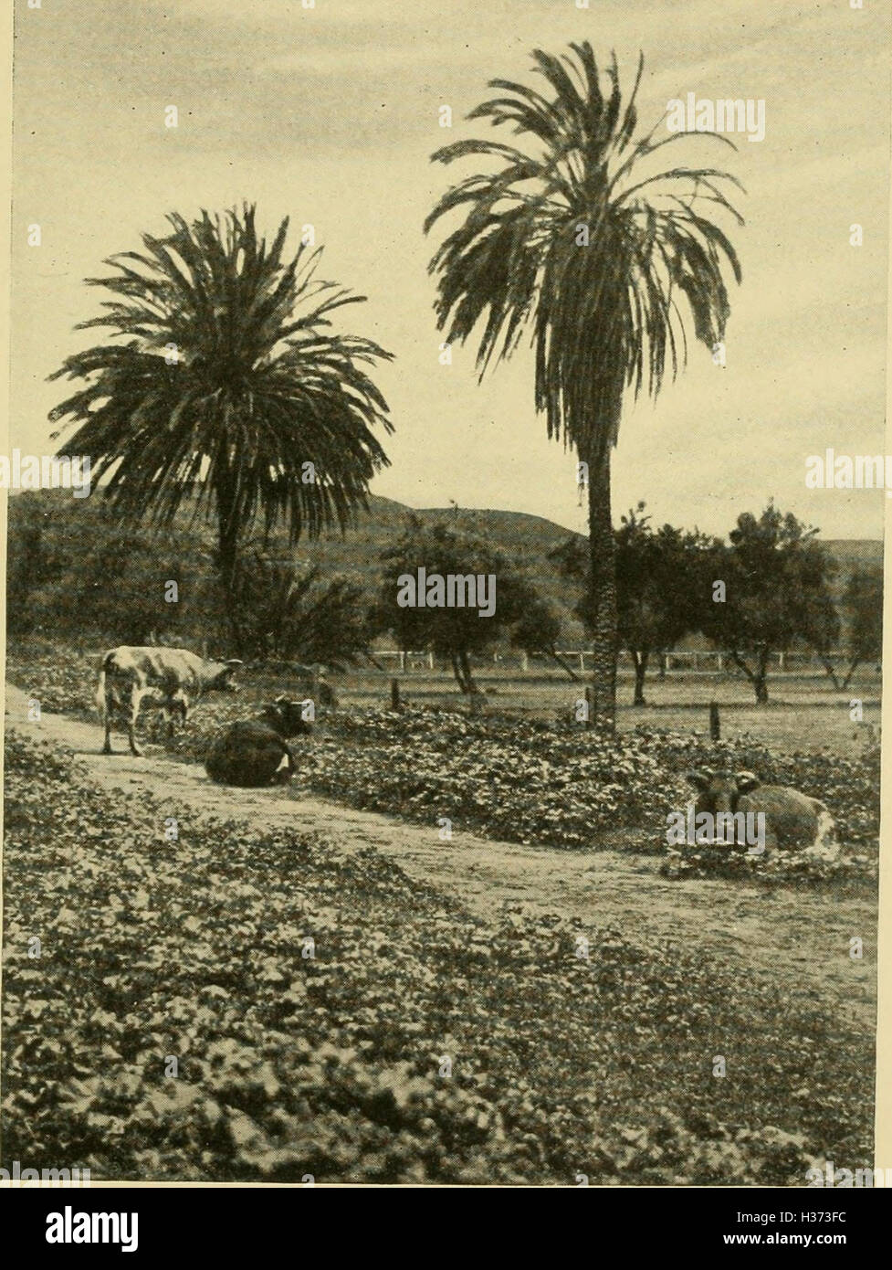 A historical exploration of the Pacific Coast’s roads and routes ...