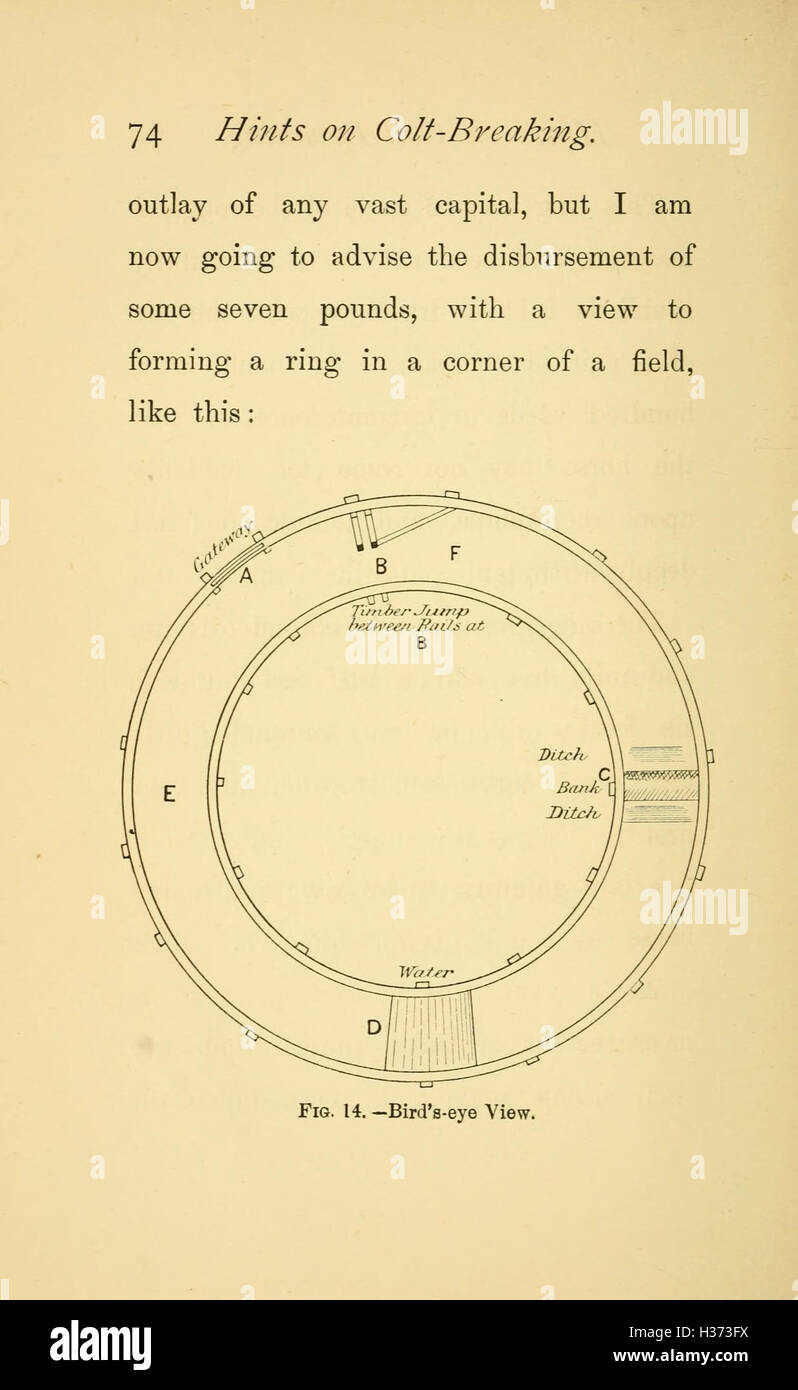 Colt books hi-res stock photography and images - Alamy