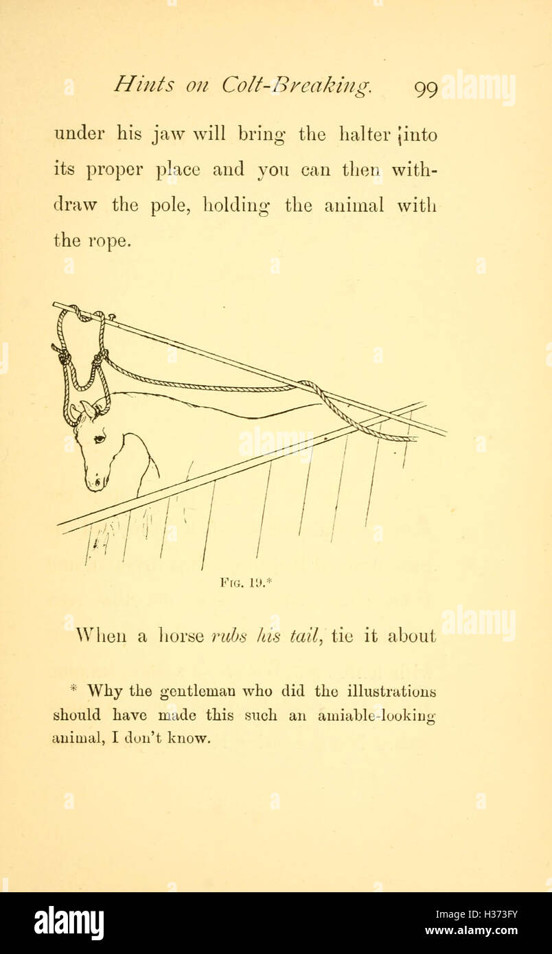 Colt books hi-res stock photography and images - Alamy