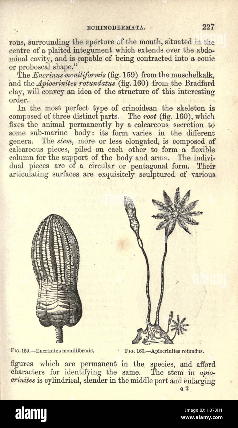 This introductory text on geology covers the basic principles of earth ...