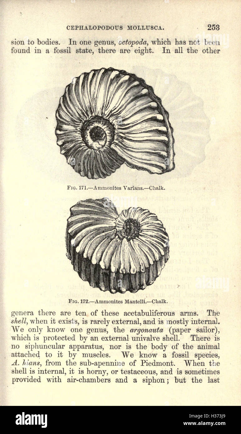 This introductory text covers the fundamental principles of geology ...