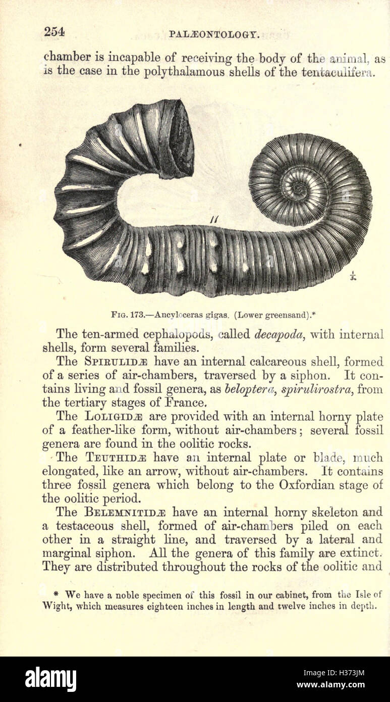 This introductory text covers the fundamental principles of geology ...