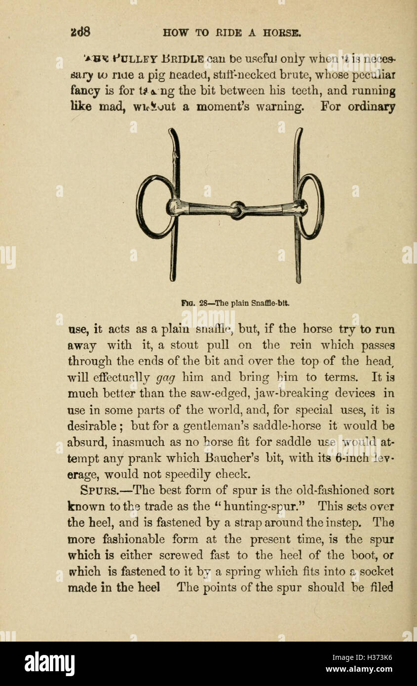 This guide offers practical advice for horse-keepers, covering stable ...