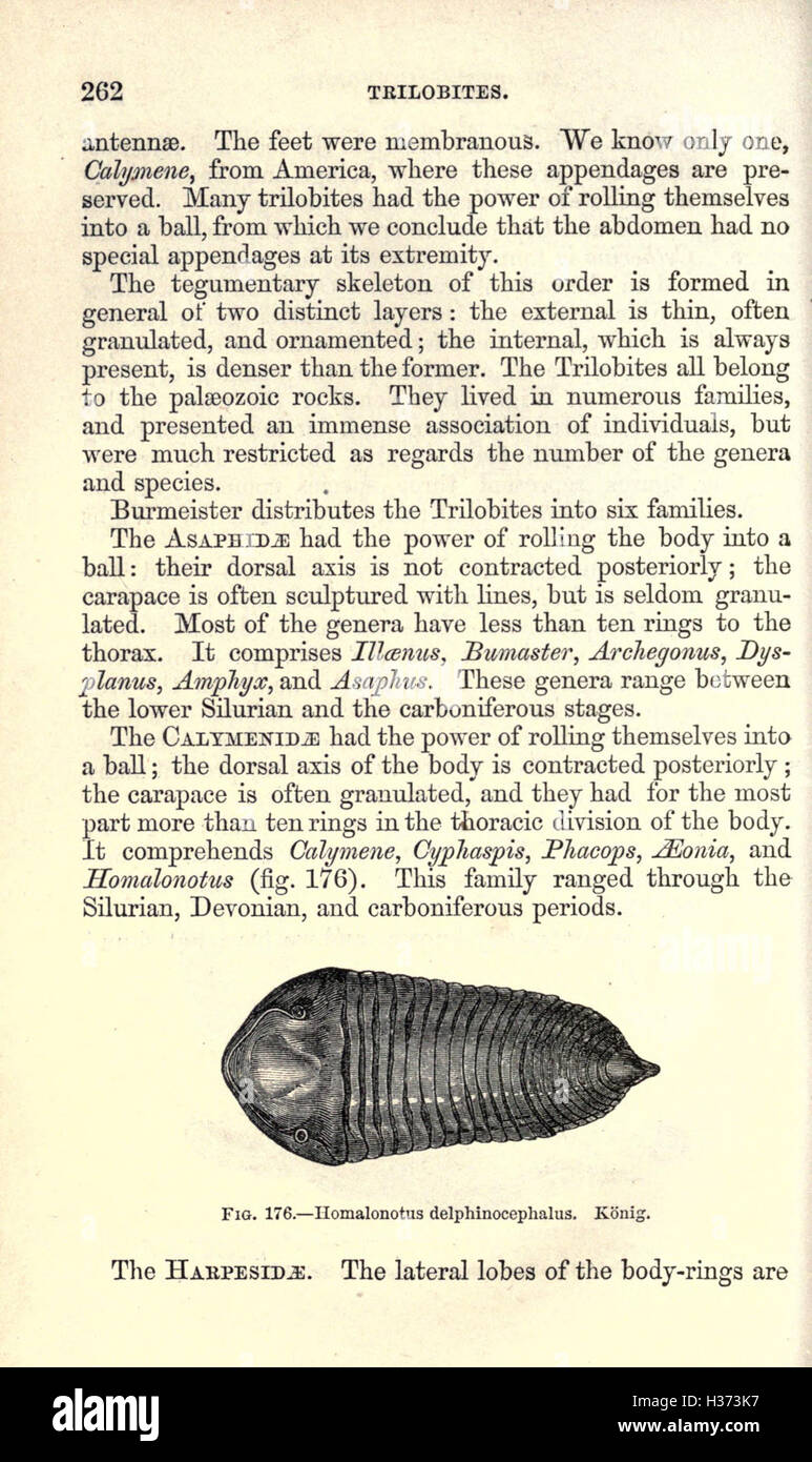 An introductory text to the study of geology, covering basic principles ...