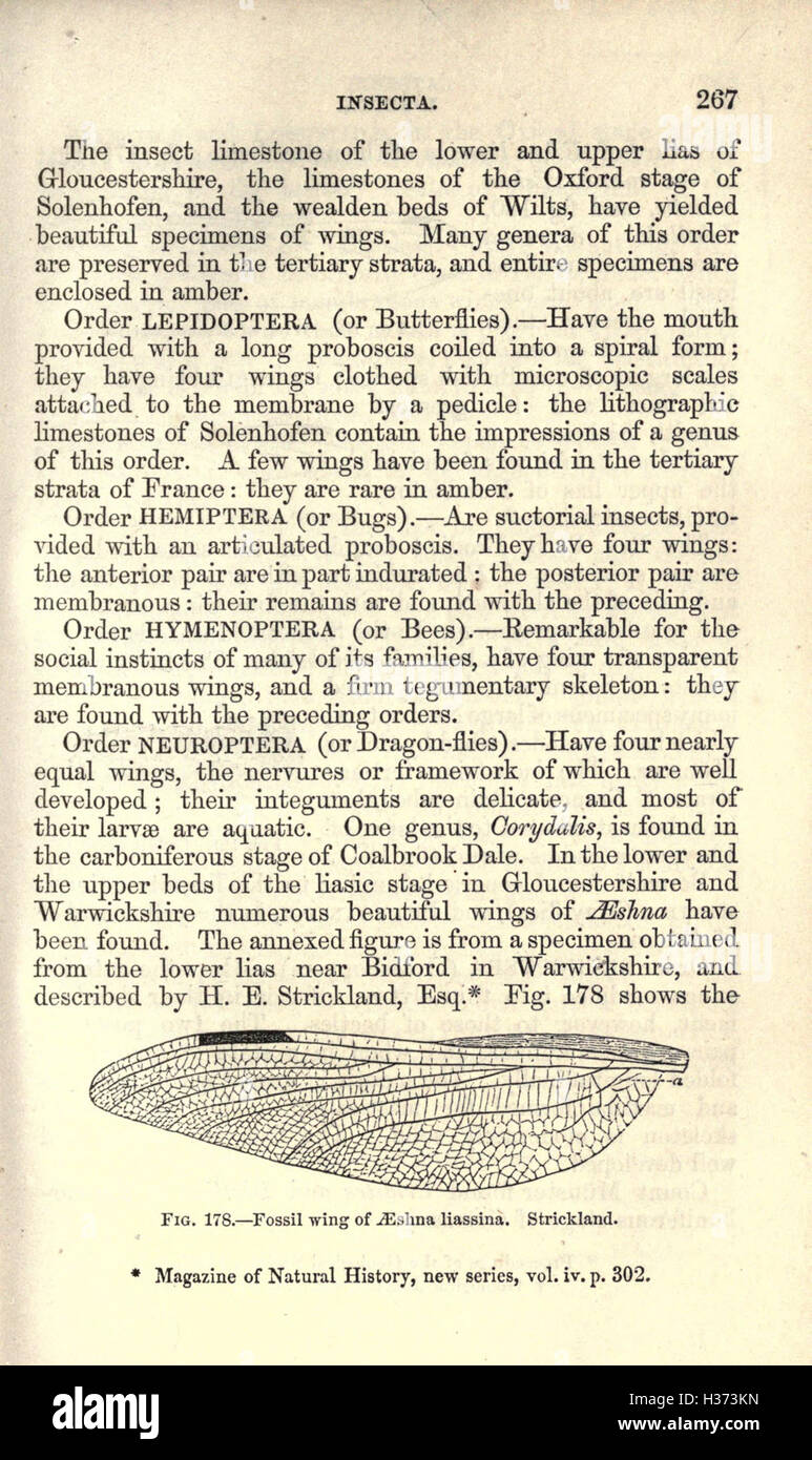 This introductory work presents the fundamentals of geology, explaining ...