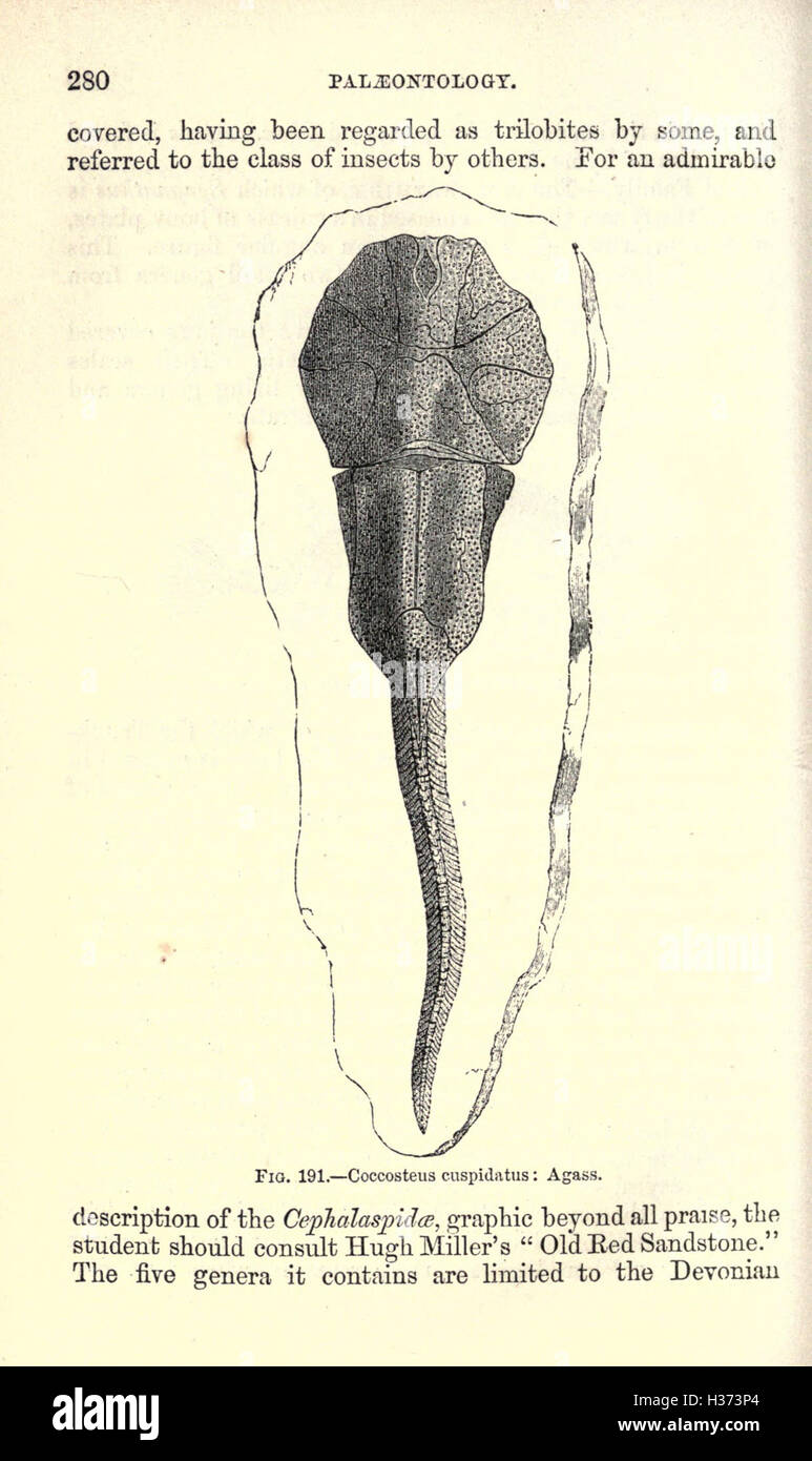 This introductory text covers the fundamental principles of geology ...