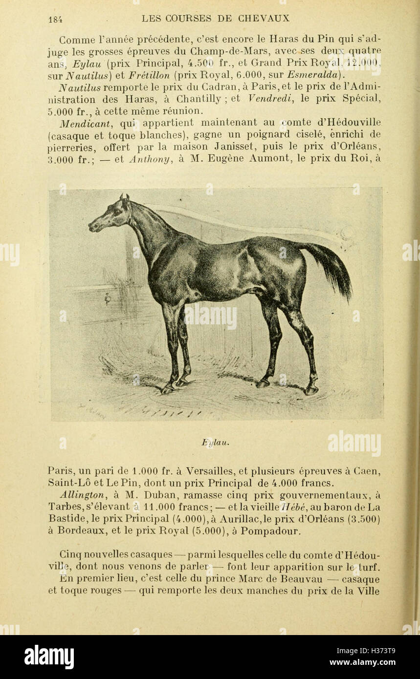 This historical overview traces the development of horse racing from ...