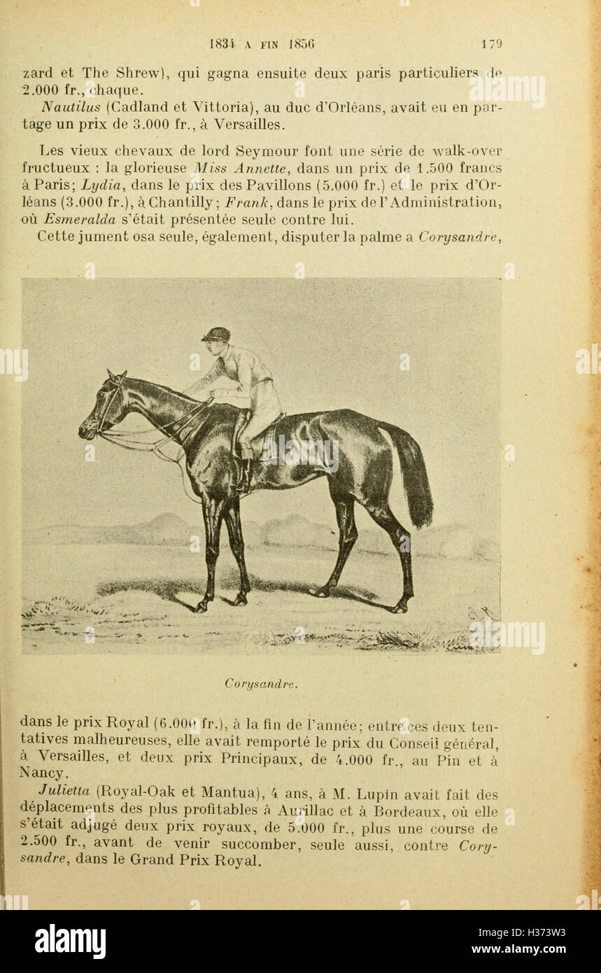 This historical account traces the evolution of horse racing from ...