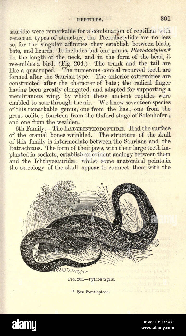 A foundational guide to geology, covering the basic principles, types ...