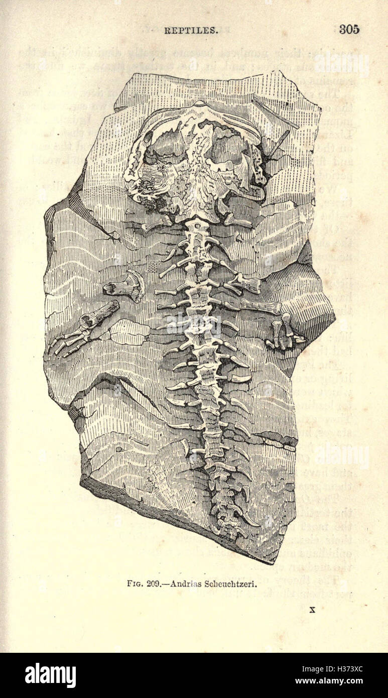 This book provides an introductory overview of geology, covering ...