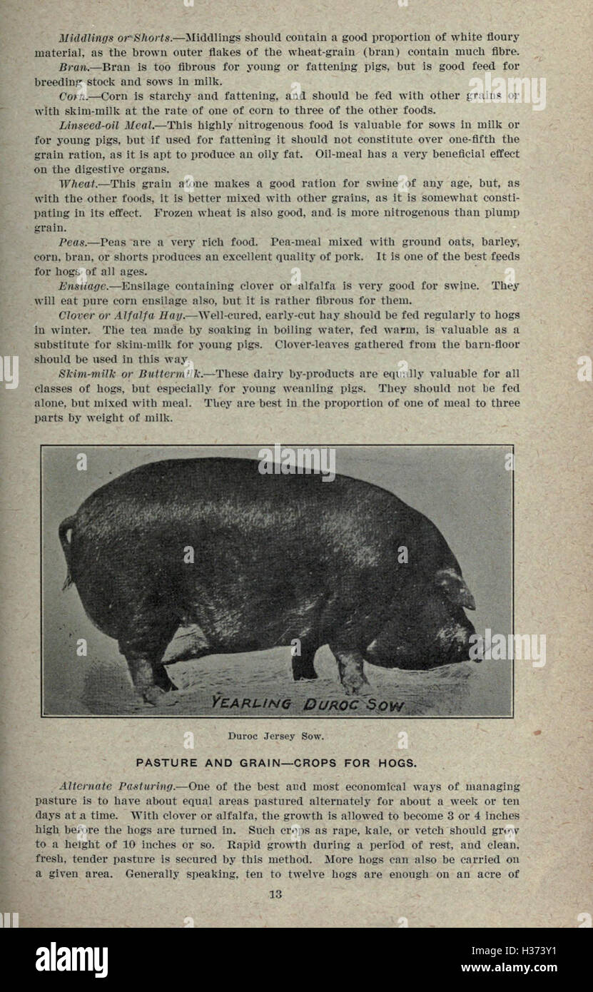 This study provides an overview of hog-raising practices in British ...