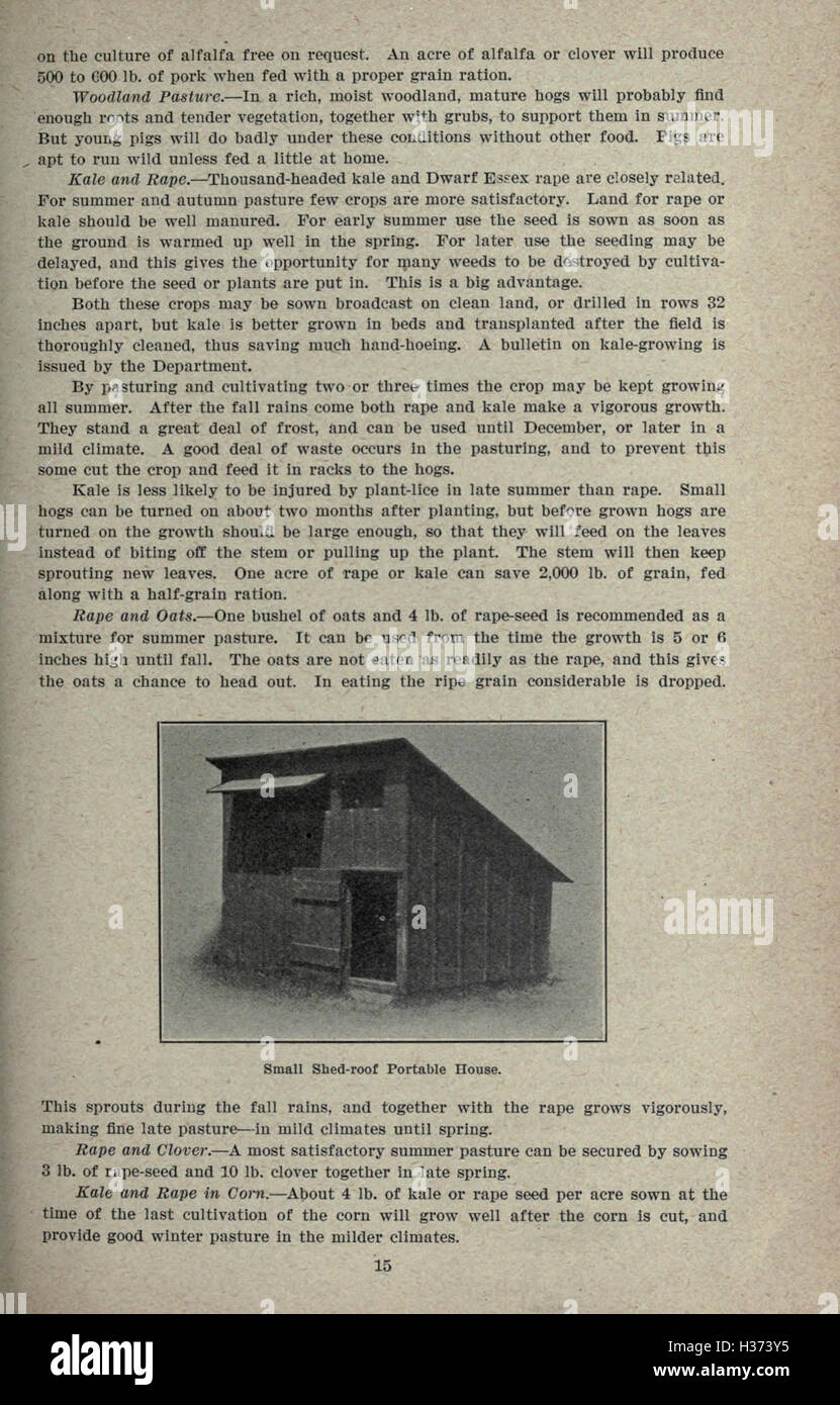 Hog raising hi-res stock photography and images - Alamy