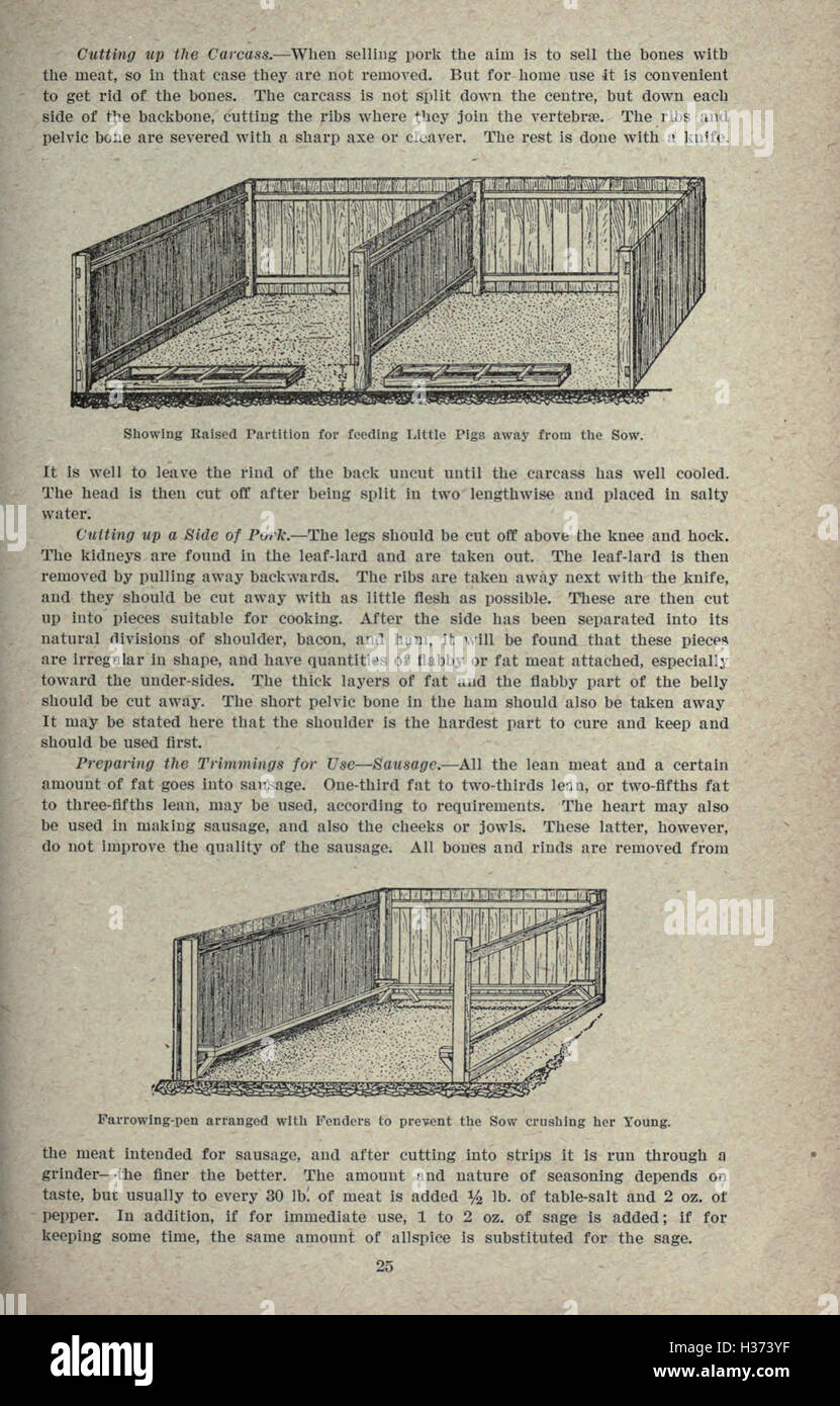 Hog-raising in British Columbia (Page 25) BHL240 Stock Photo - Alamy