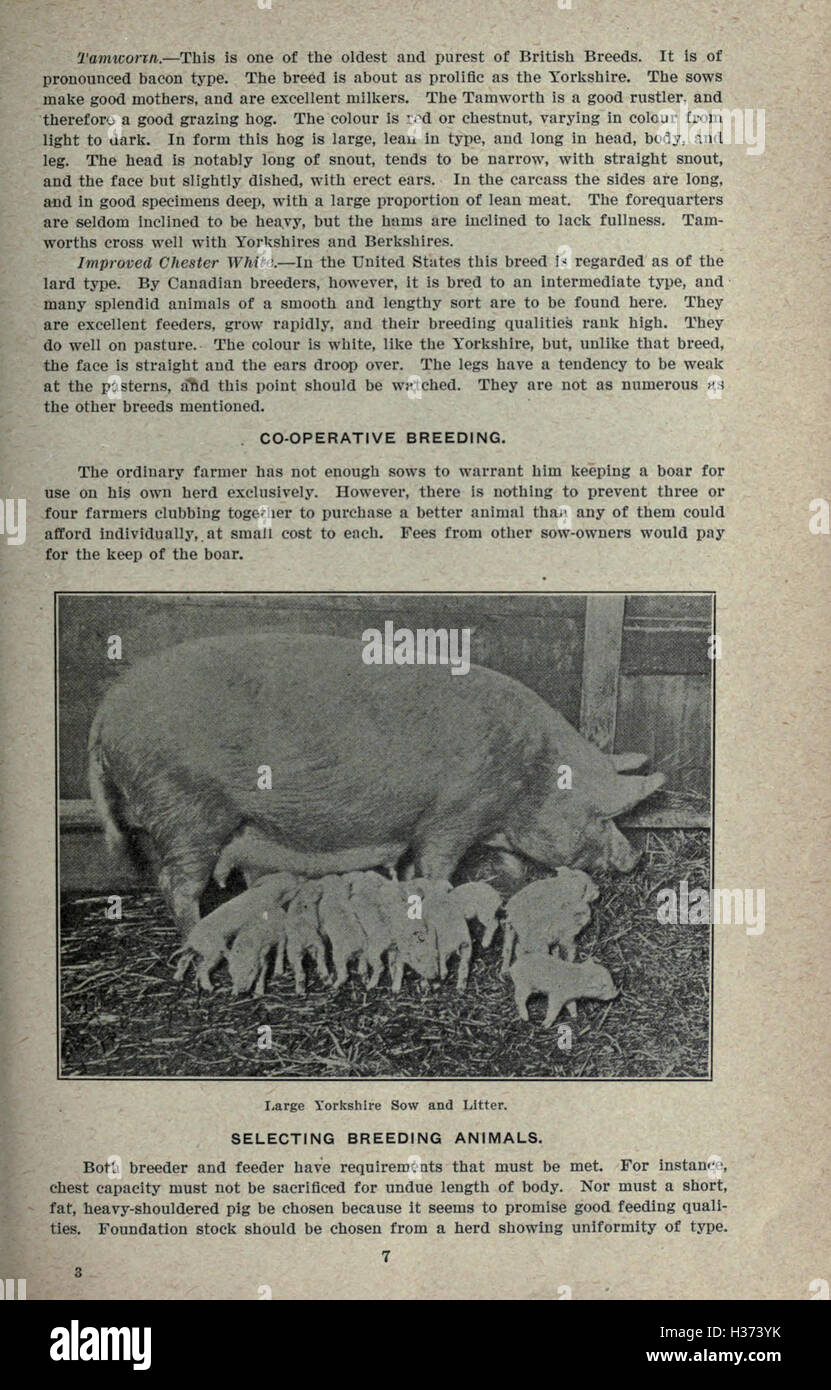 This guide focuses on hog-raising in British Columbia, discussing ...