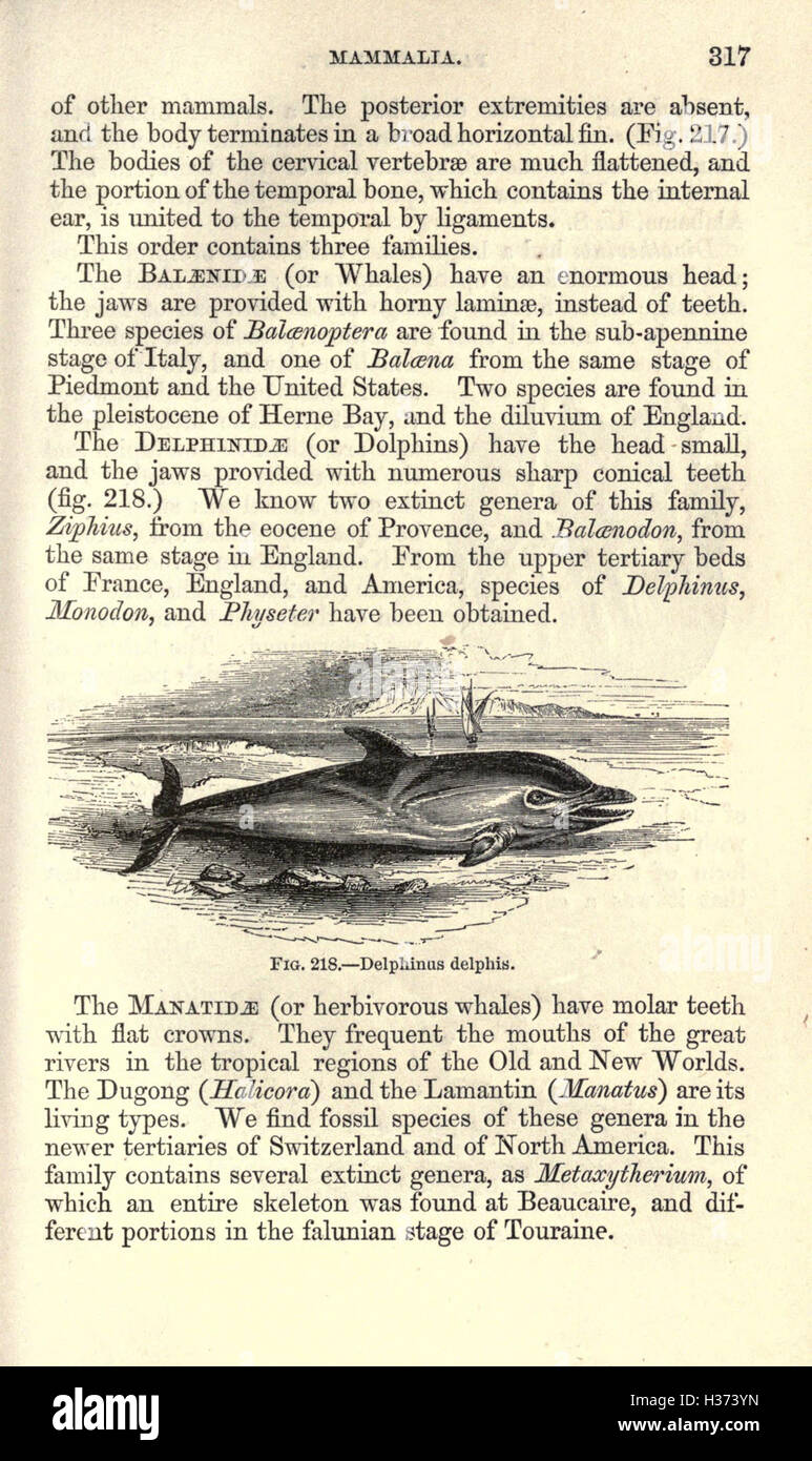 Overview of geological principles and processes in 'An Introduction to ...