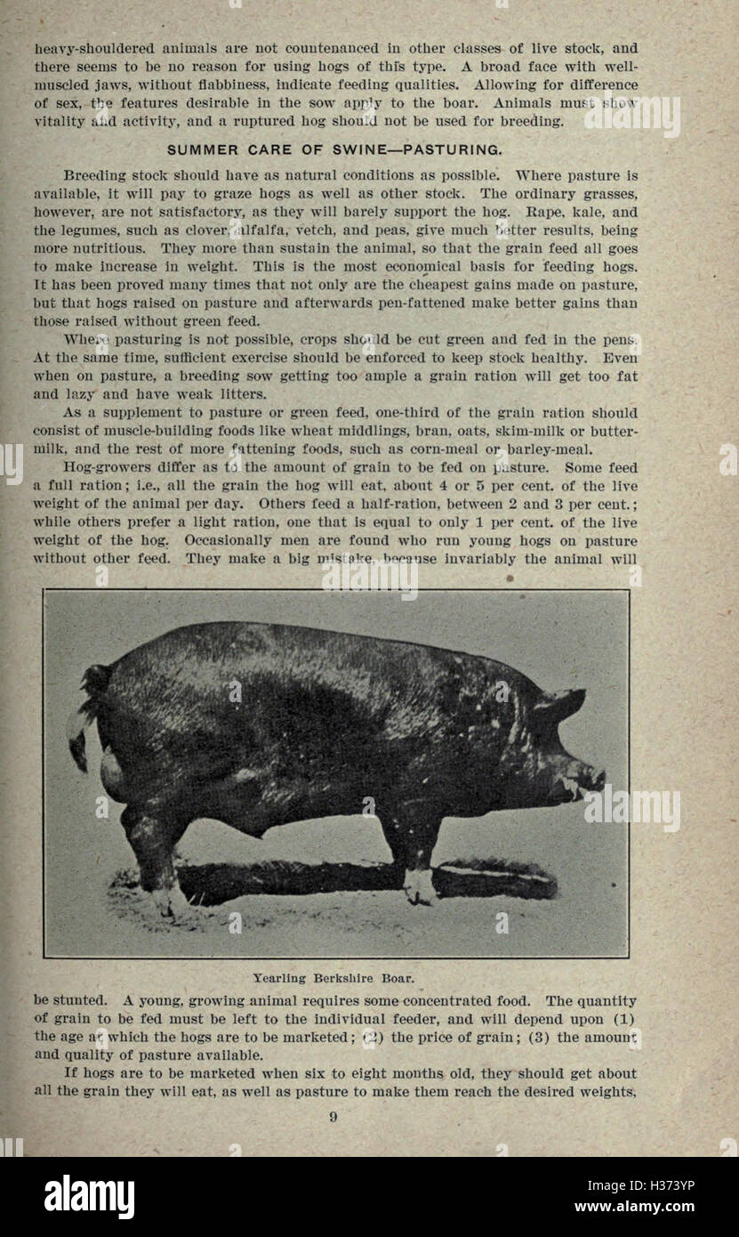A guide on hog-raising practices in British Columbia, focusing on ...