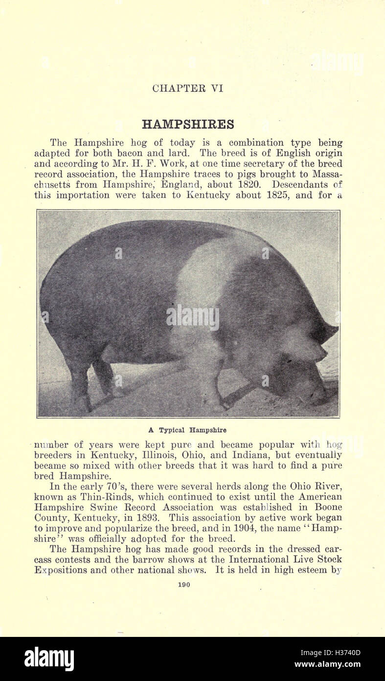 This work focuses on the characteristics, care, and management of hogs ...